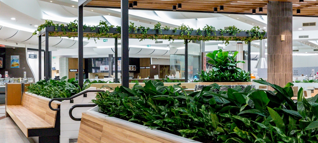 Carousel Food Court & Amenities Upgrade | Neesh Construction